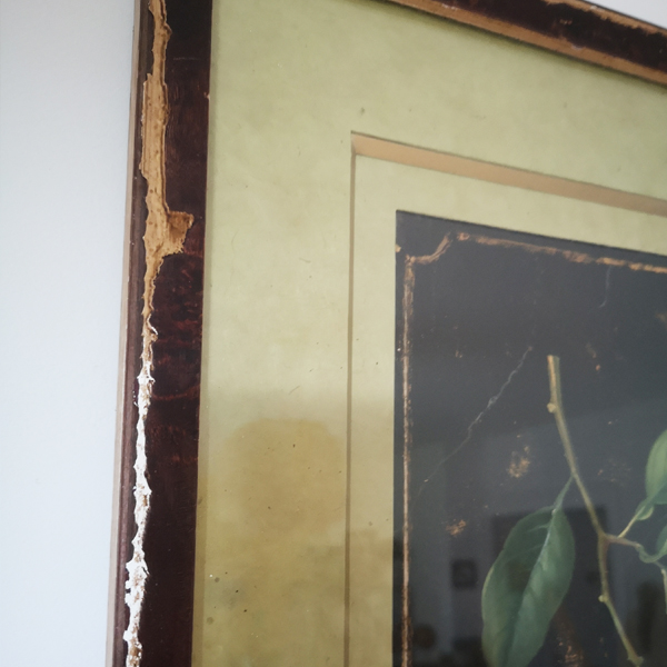 Tableau vintage fruits - Upcy